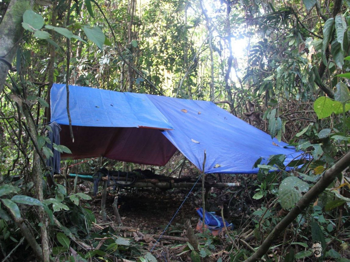 Highlights und Fazit unserer Borneo Backpacker Rundreise ...