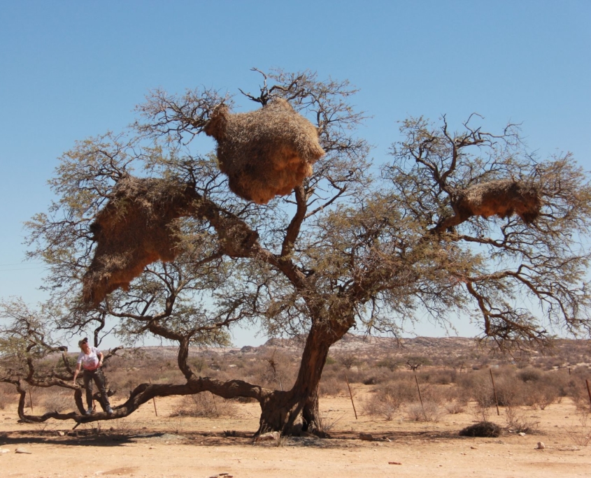 Reiseberichte Archive - wolfgangwilbois.de